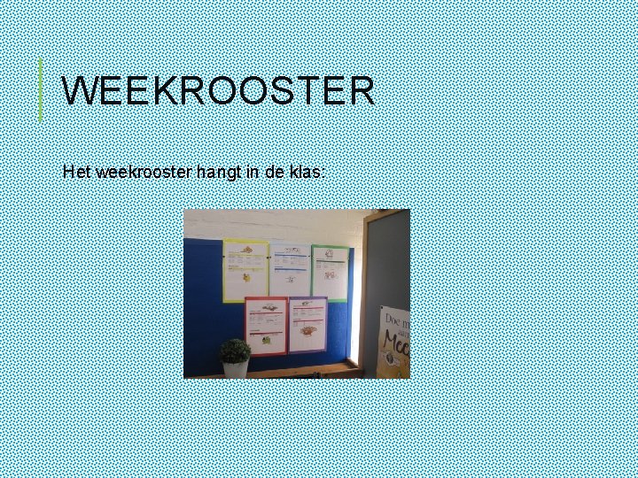 WELKOM BOVENBOUW Groep 6 12 leerlingen Groep 7