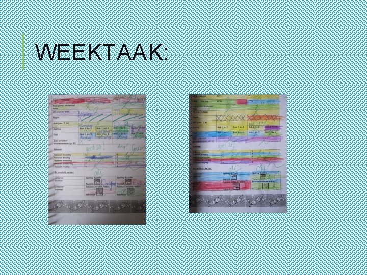 WELKOM BOVENBOUW Groep 6 12 leerlingen Groep 7