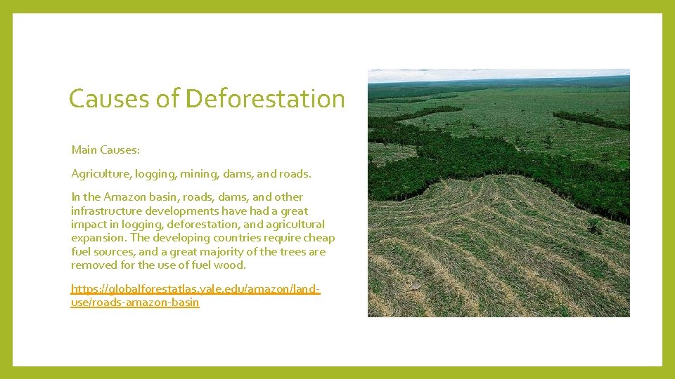 DEFORESTATION By Adam Drain and Nealey Berger Spatial