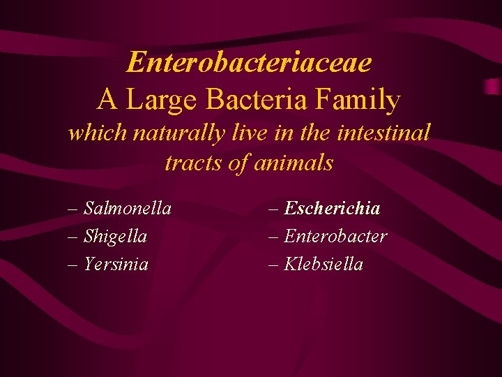 E Coli Bacteria Harmful Or Harmless Is part