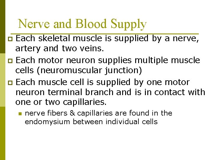 Muscle Physiology Chapter 10 Nerve and Blood Supply