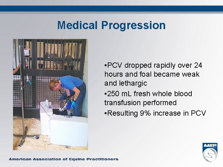 Hemolytic Anemia in a Donkey Foal Elise Lavie
