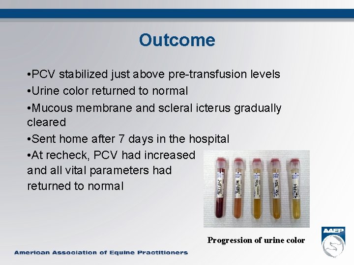 Hemolytic Anemia in a Donkey Foal Elise Lavie