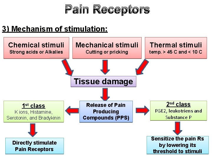 Physiology of Pain By Dr Abdel Aziz M