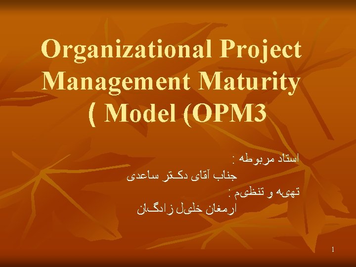 Section one Introduction to OPM 3 n n