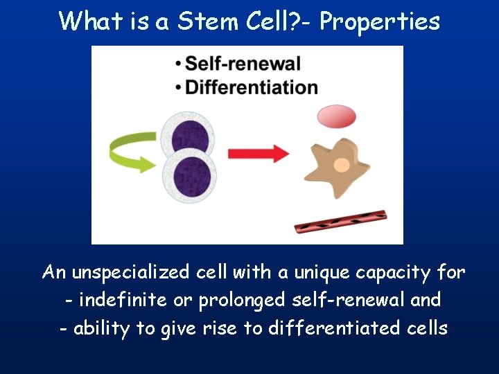 The Alchemy of Induced Pluripotent Stem Cells Uma
