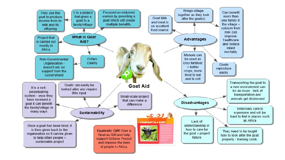 Case Studies Development Goat Aid Background Advantages Goat