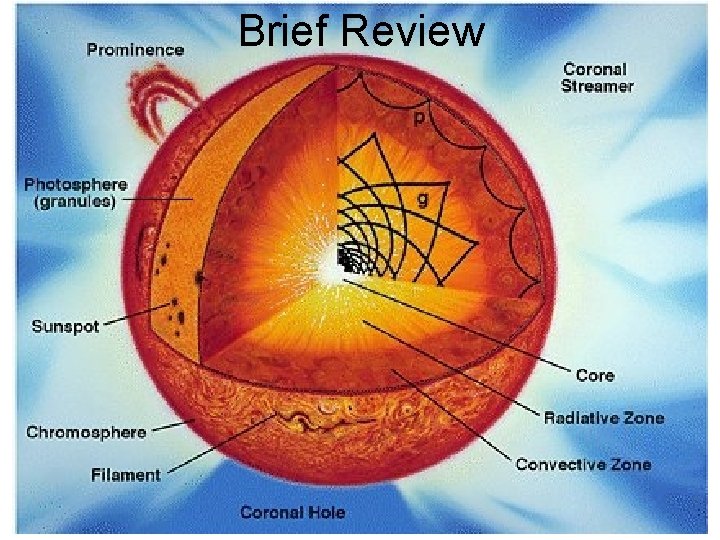 Solar Magnetism Differential Rotation Sunspots Solar Cycle Guest