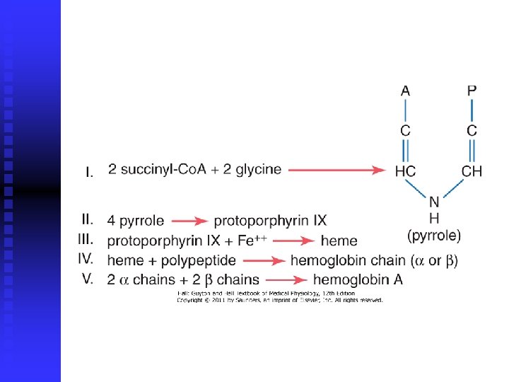Red Blood Cells Anemia and Polycythemia Prof dr