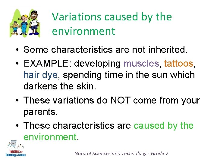 Natural Sciences and Technology Grade 7 Term 1