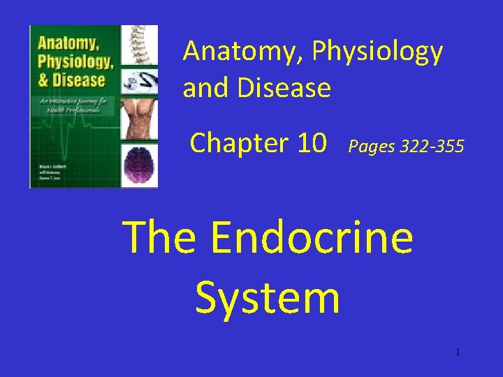 Anatomy Physiology and Disease Chapter 10 Pages 322