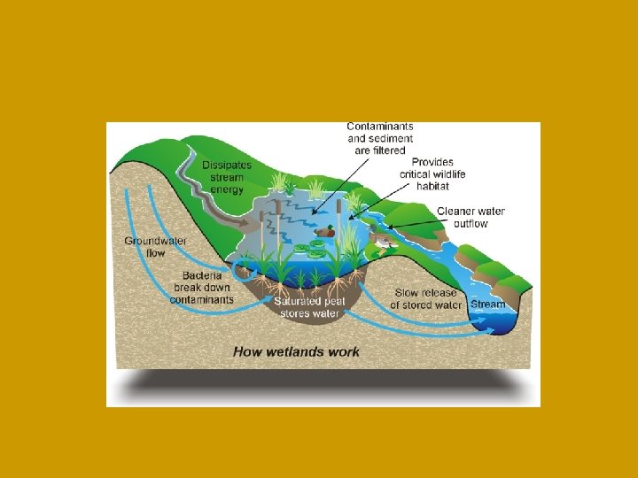 Characteristics of Bodies of Water Waterways Rivers Earths