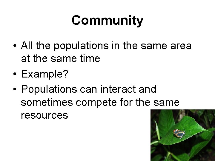 Principles of Ecology Whats the BIG IDEA Energy