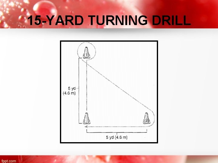 8 Agility Training Lee E Brown Ed D