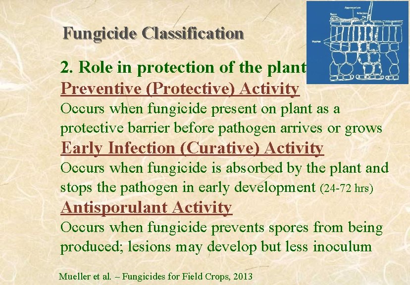 Pesticide Management Fungicide Benefits Challenges Contribute to food