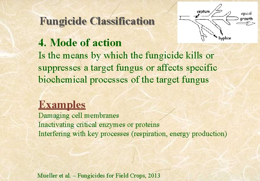 Pesticide Management Fungicide Benefits Challenges Contribute to food