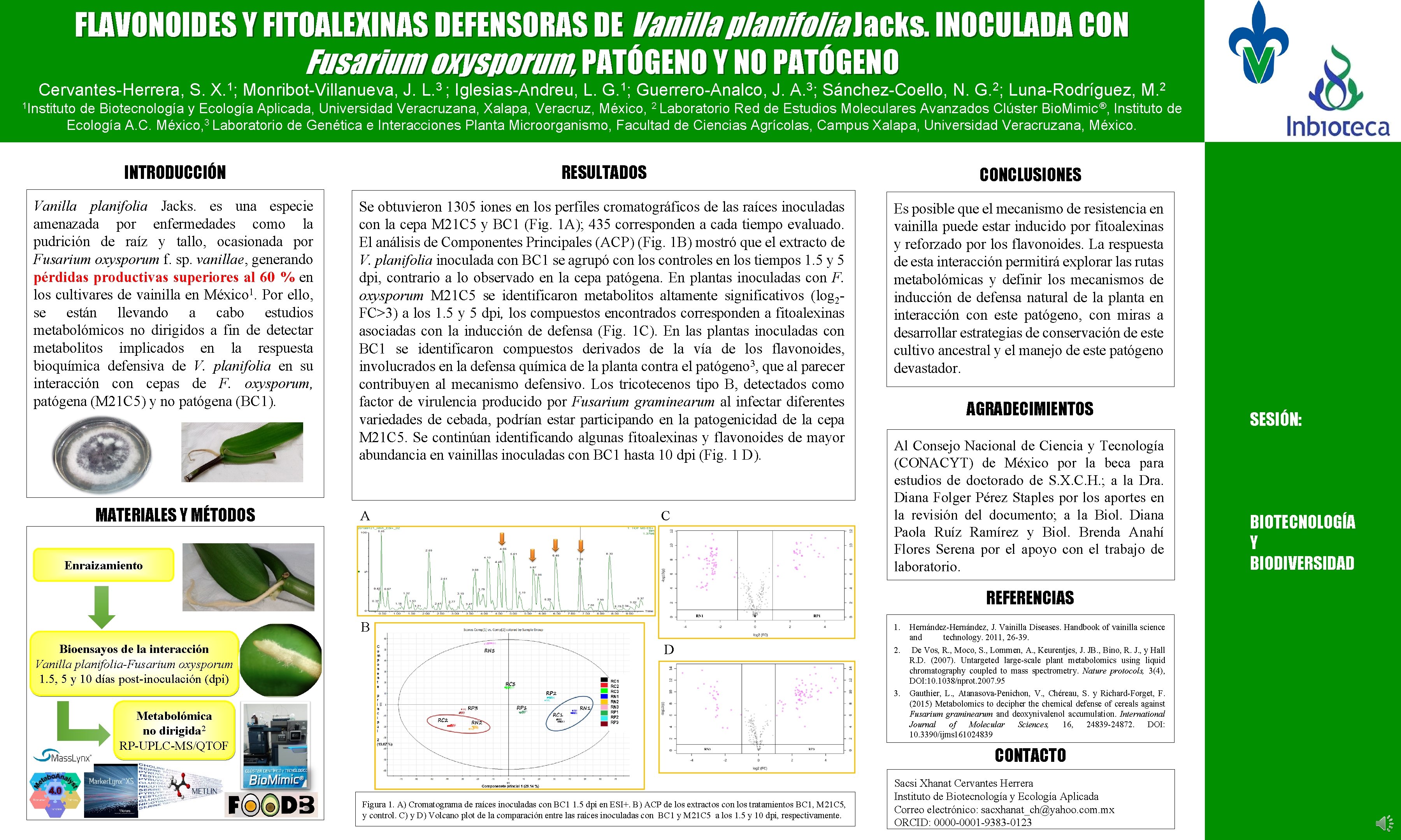 FLAVONOIDES Y FITOALEXINAS DEFENSORAS DE Vanilla planifolia Jacks