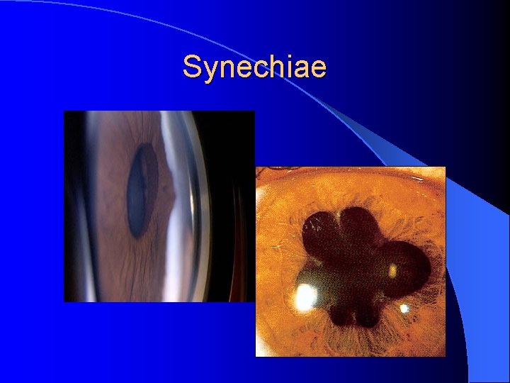 Grand Rounds Joseph Reck VAMC WilkesBarre PA November