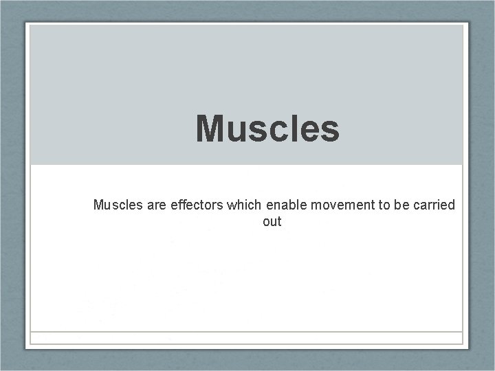 Muscles are effectors which enable movement to be