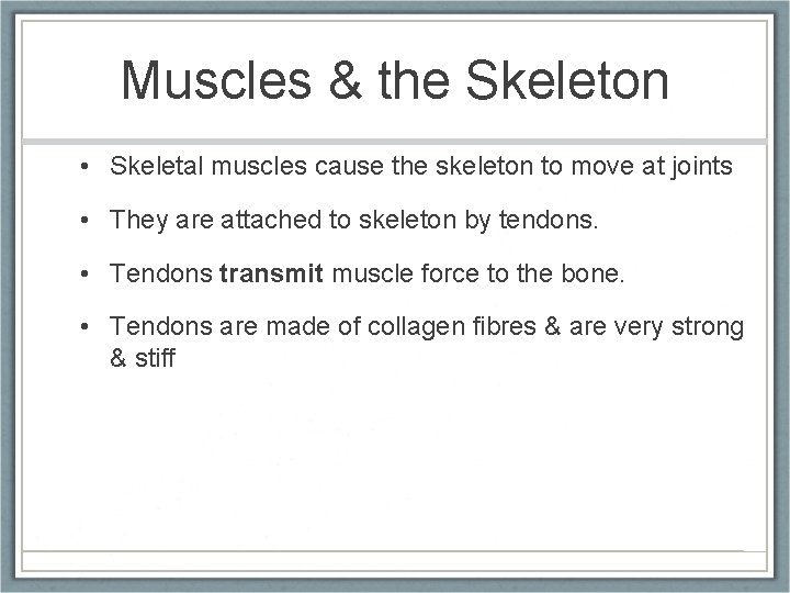Muscles are effectors which enable movement to be
