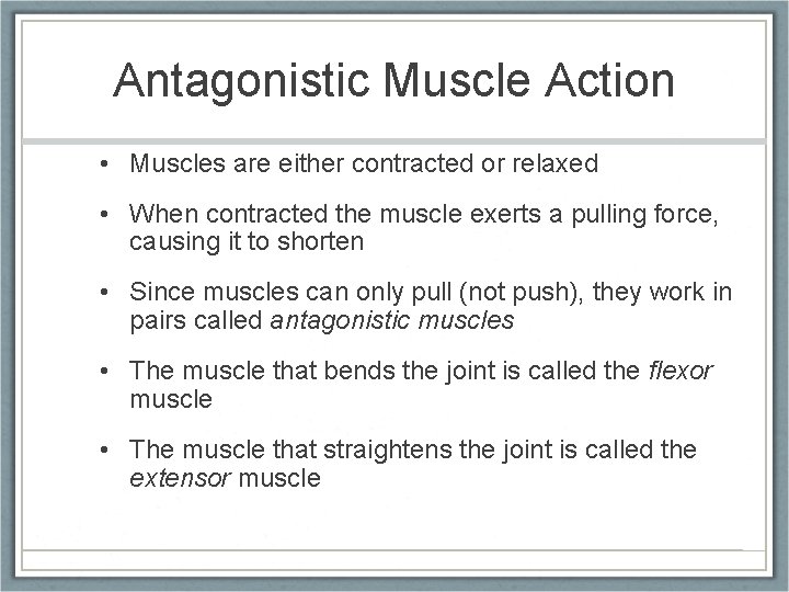 Muscles are effectors which enable movement to be