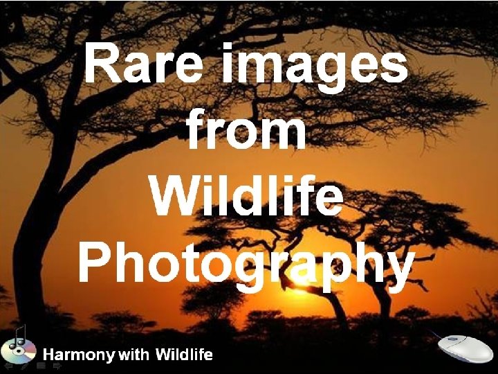 Rare images from Wildlife Photography Life in the