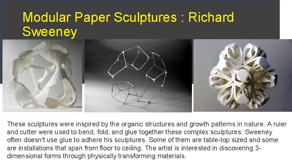 Art Studio 3 D PAPER SCULPTURES Your creative