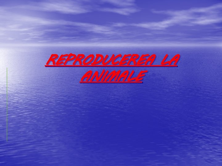 REPRODUCEREA LA ANIMALE REPRODUCEREA Este o funcie esenial