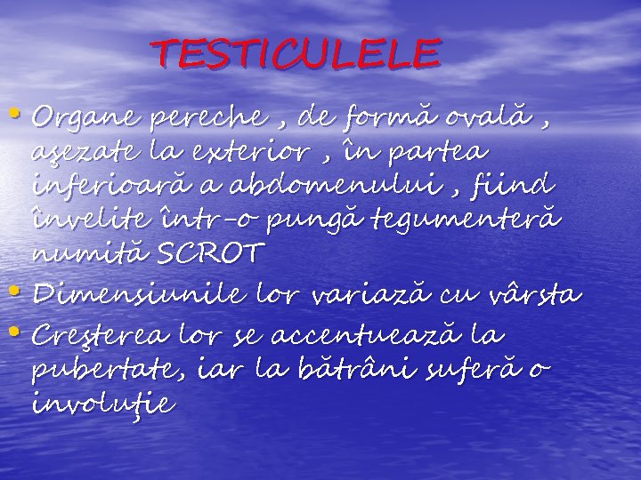 REPRODUCEREA LA ANIMALE REPRODUCEREA Este o funcie esenial