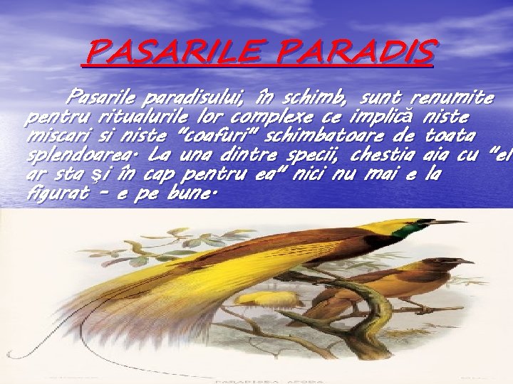 REPRODUCEREA LA ANIMALE REPRODUCEREA Este o funcie esenial