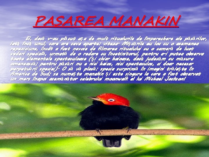 REPRODUCEREA LA ANIMALE REPRODUCEREA Este o funcie esenial