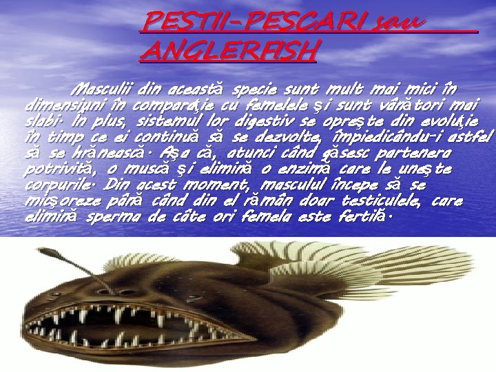 REPRODUCEREA LA ANIMALE REPRODUCEREA Este o funcie esenial