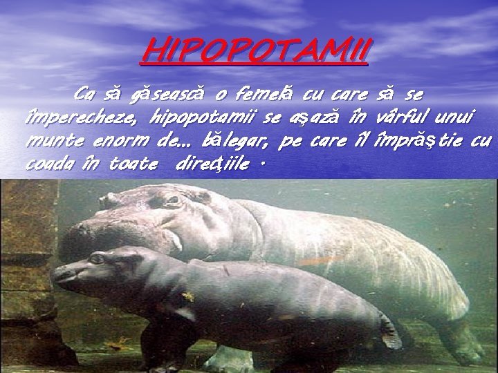 REPRODUCEREA LA ANIMALE REPRODUCEREA Este o funcie esenial