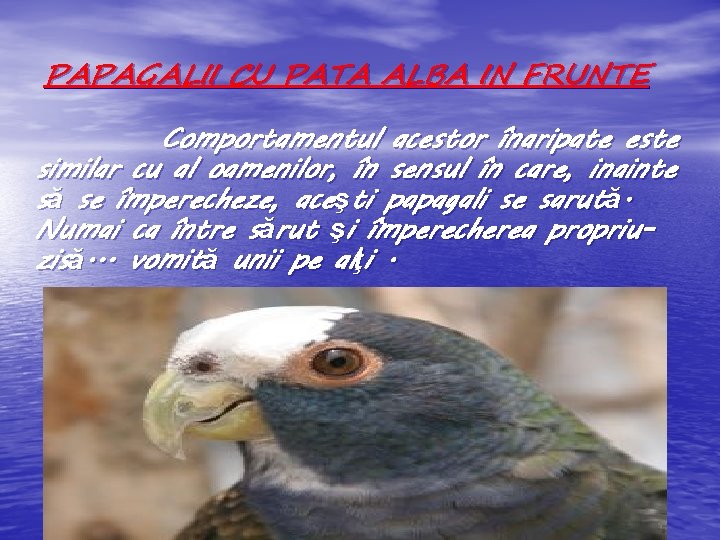 REPRODUCEREA LA ANIMALE REPRODUCEREA Este o funcie esenial