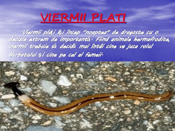 REPRODUCEREA LA ANIMALE REPRODUCEREA Este o funcie esenial