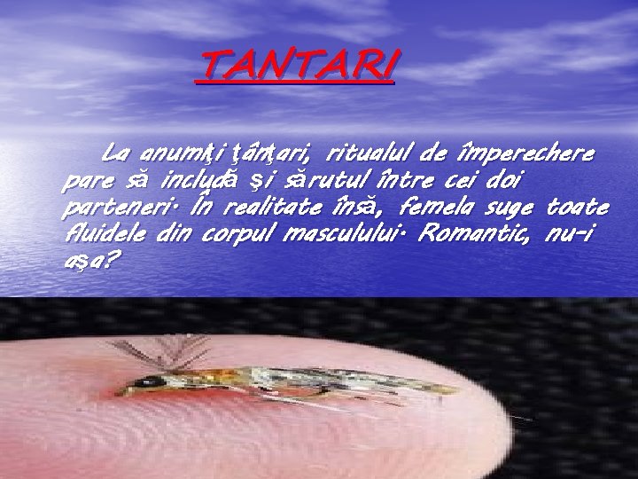 REPRODUCEREA LA ANIMALE REPRODUCEREA Este o funcie esenial