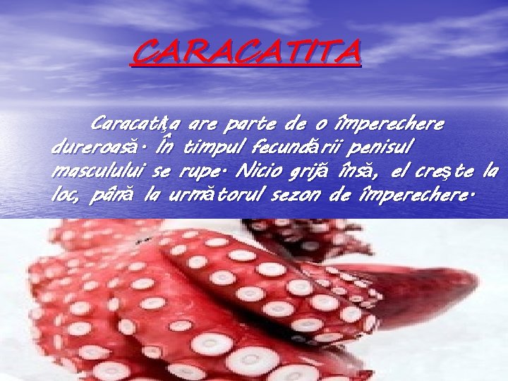 REPRODUCEREA LA ANIMALE REPRODUCEREA Este o funcie esenial