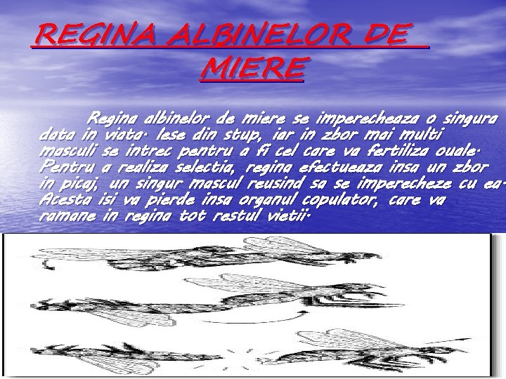 REPRODUCEREA LA ANIMALE REPRODUCEREA Este o funcie esenial