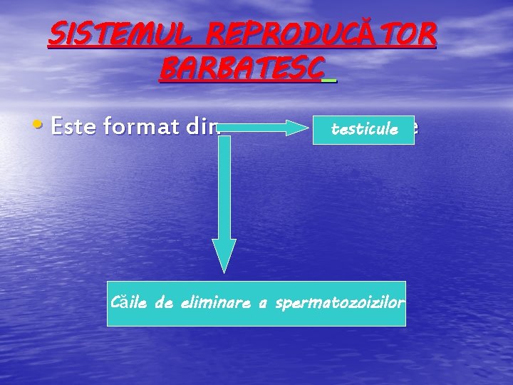 REPRODUCEREA LA ANIMALE REPRODUCEREA Este o funcie esenial