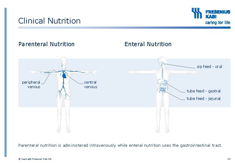 Fresenius Kabi Overview Copyright Fresenius Kabi AG Who
