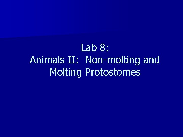 Lab 8 Animals II Nonmolting and Molting Protostomes