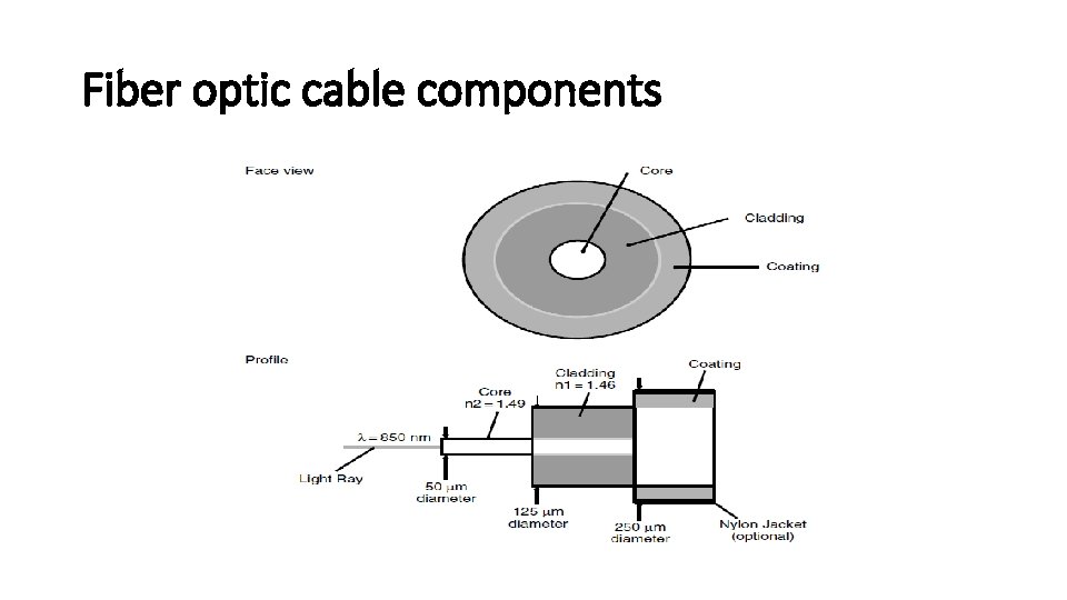 Optical Telemetry and Safety Measures Zankhana Mehta Reflection