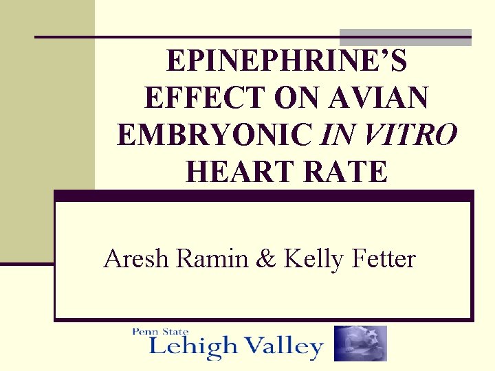 EPINEPHRINES EFFECT ON AVIAN EMBRYONIC IN VITRO HEART