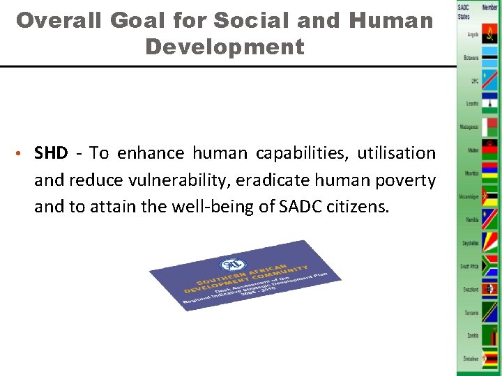 RISDP 2015 2020 AND INDUSTRIALISATION STRATEGY AND ROADMAP