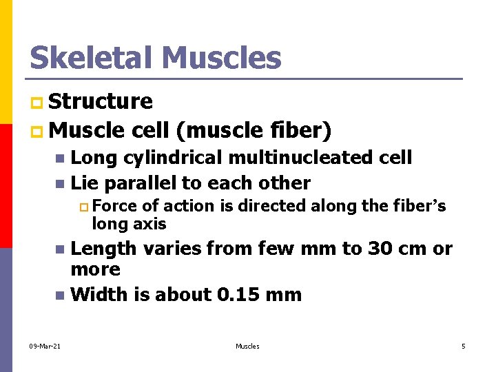 Muscles Skeletal Cardiac Smooth 09 Mar21 Muscles 1