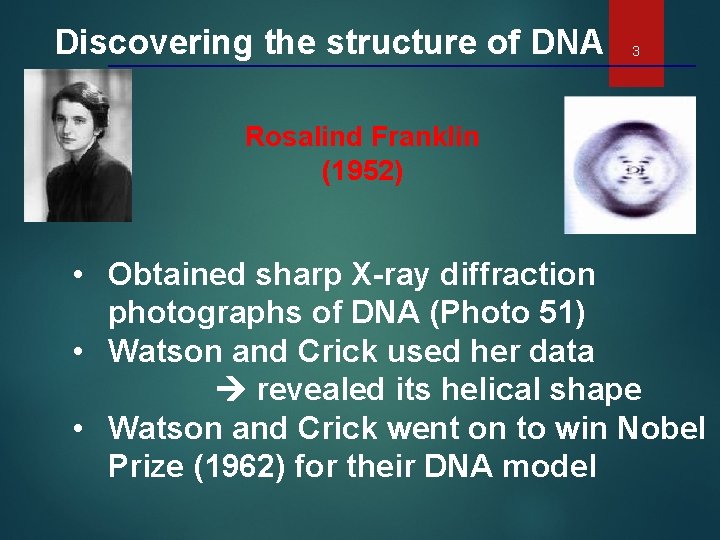 1 DNA DNA is often called the blueprint