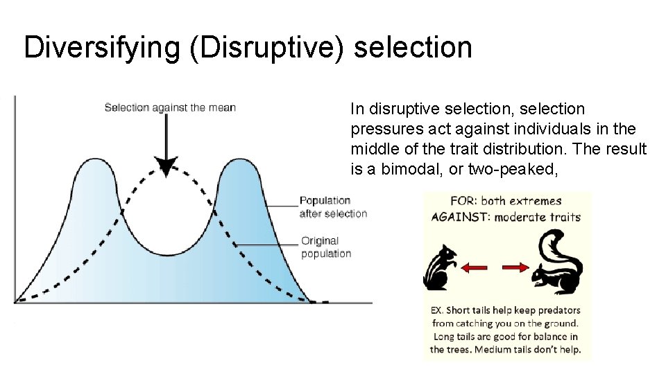 Institute of Zoology Chinese Academy of Sciences Beijing