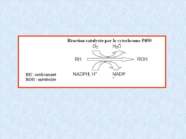METABOLISME DES MEDICAMENTS Introduction Pharmacocintique tude du devenir