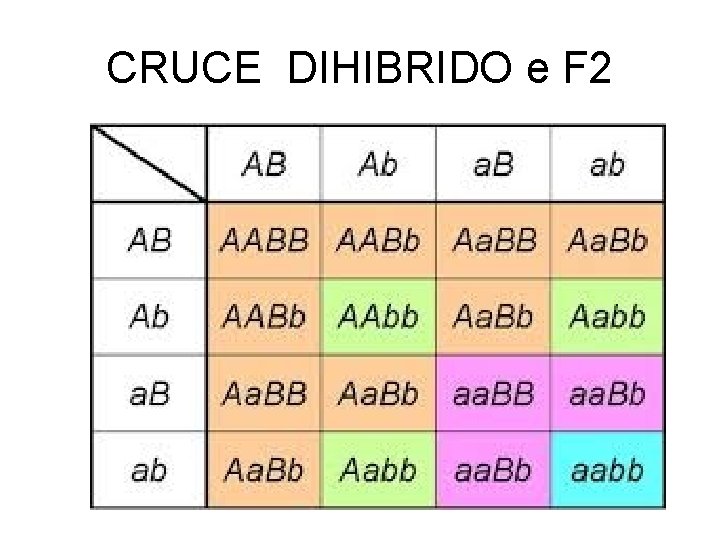 II UNIDAD LA MEIOSIS Y LAS LEYES DE