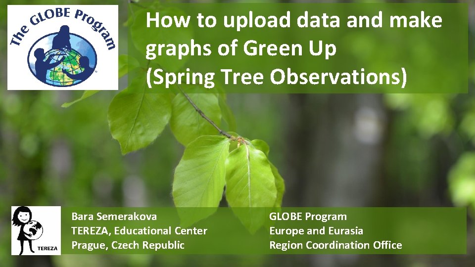 How to upload data and make graphs of